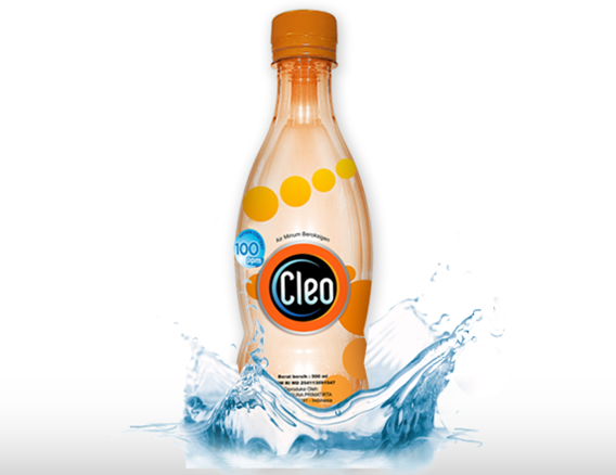 CLEO Oxygen Enhanced Combustion