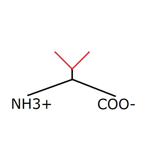 Explore. Dream. Discover.: Tips on memorizing 20 amino acids