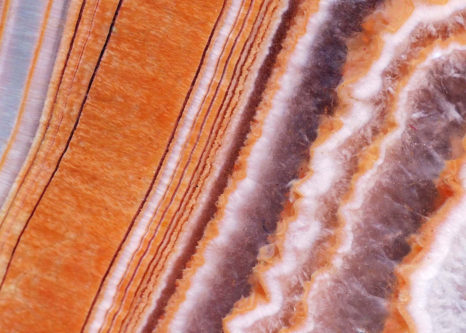 The Agatelady: Adventures and Events: Agates and Bay