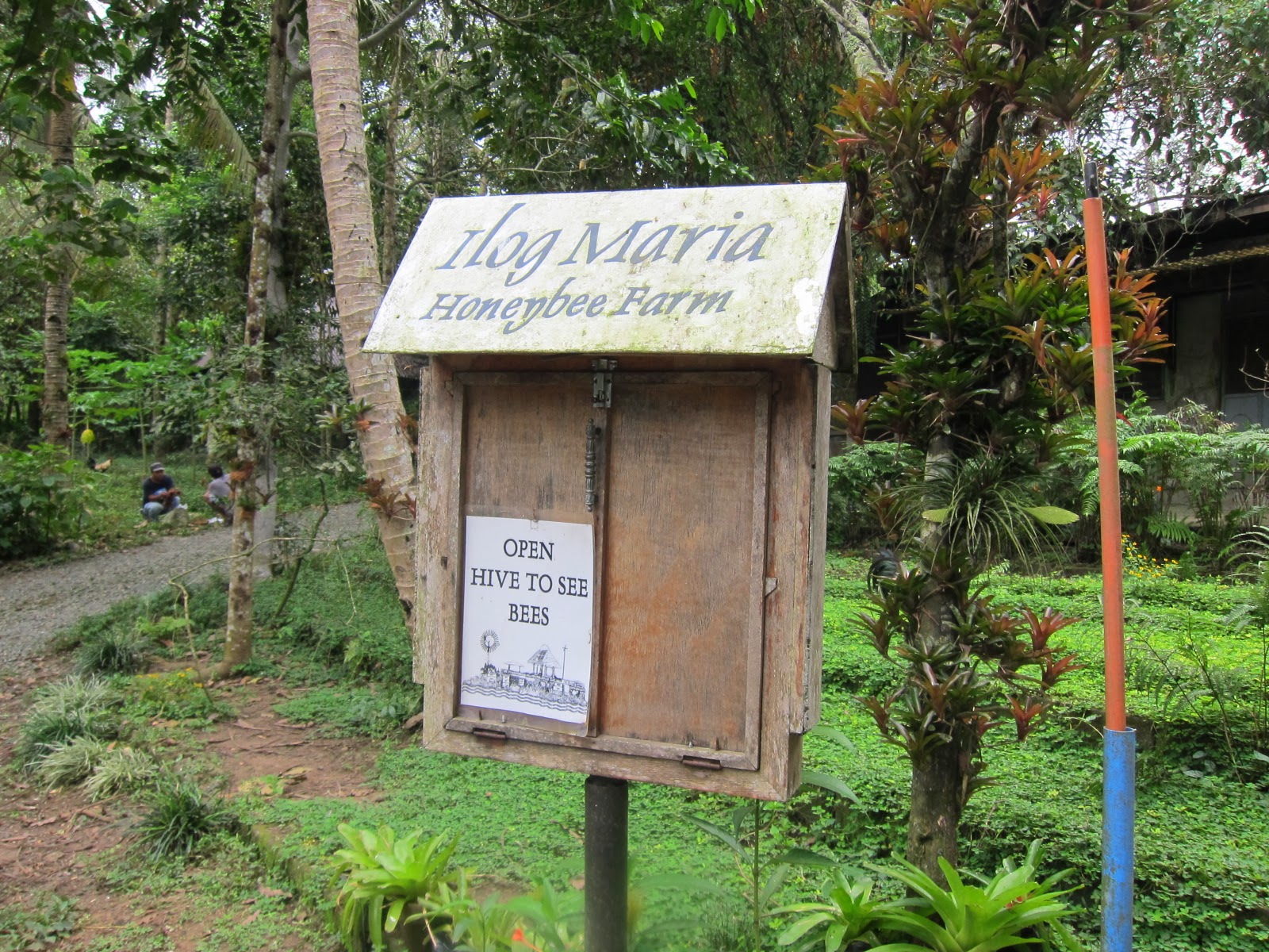 Jessica Choy: Ilog Maria Honeybee Farm Haul