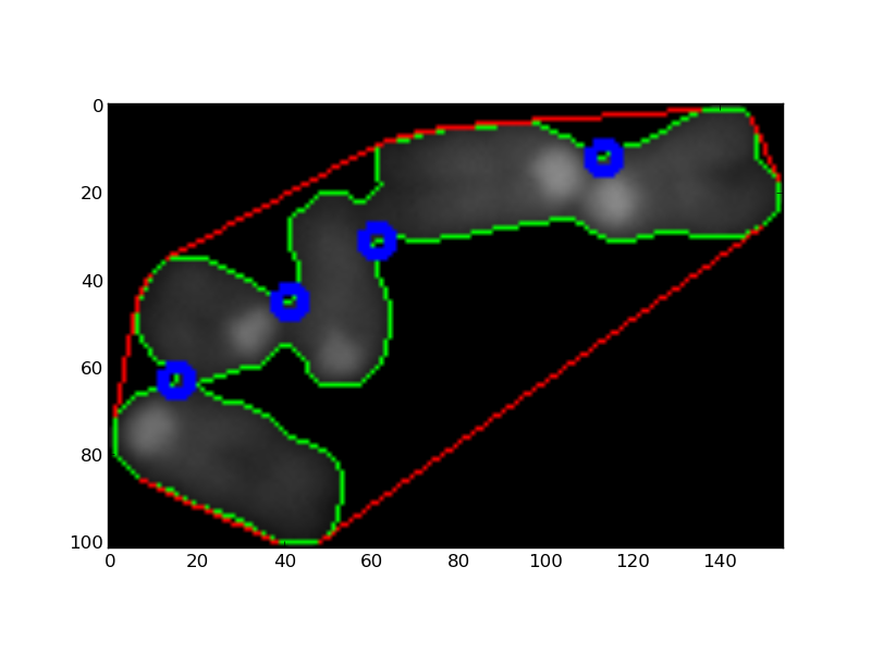 DIP4FISH: Playing around with opencv convexity defects