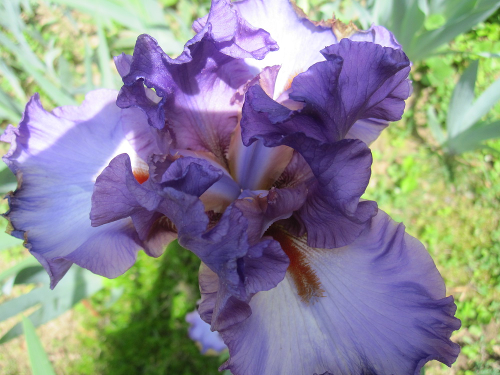 Walter Klingler & Stephen Boydstun : Tuesday May 2, 2017 "Mother Earth ...