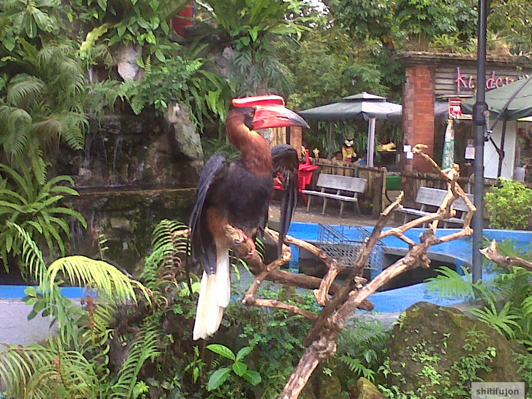 A Journey to a New World: Manila Zoological and Botanical Garden