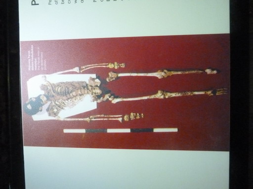 Caving in SE Asia: Muzium Negara - Perak Man