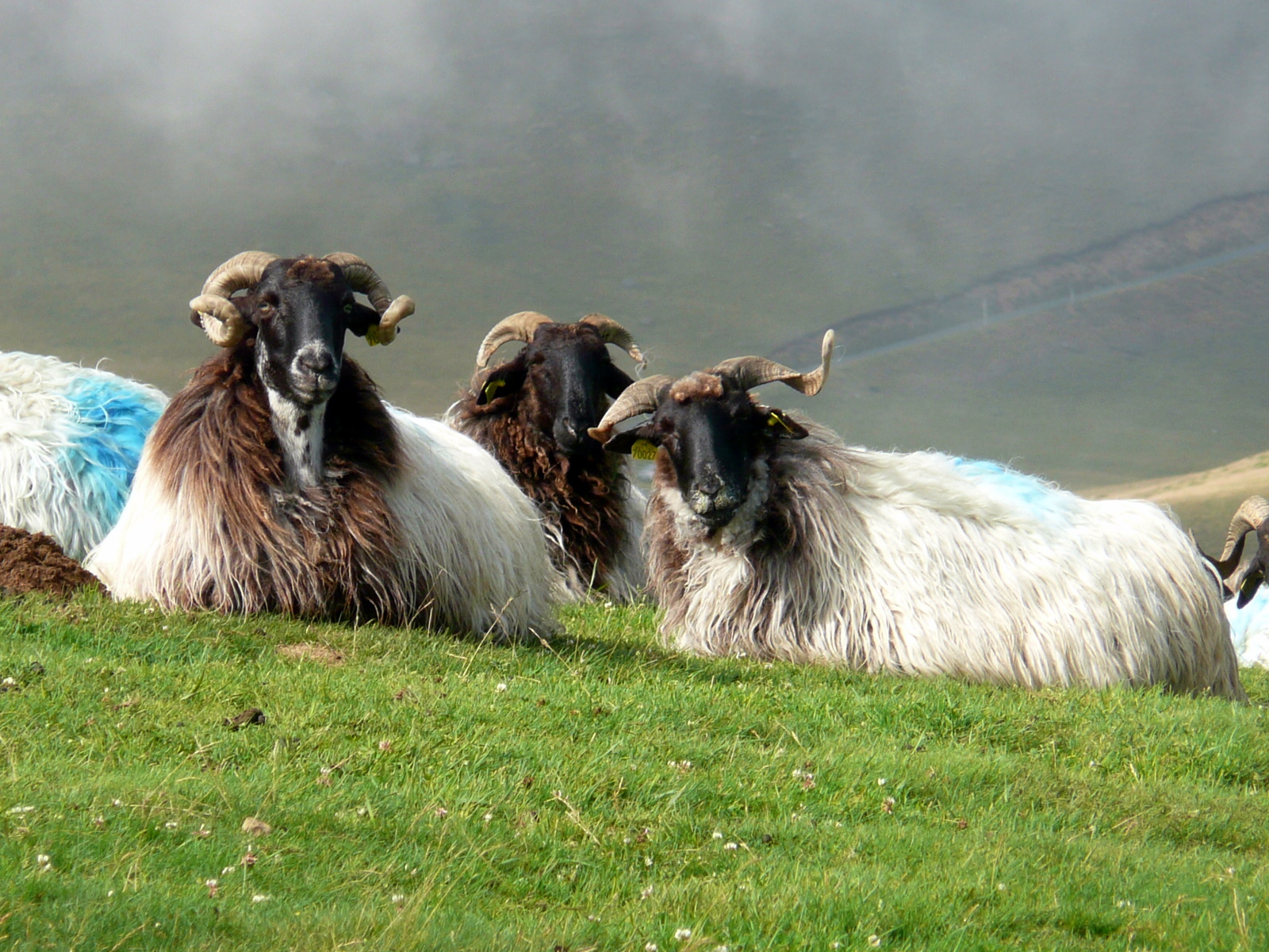 viajar a ratos: Larrau en el Pirineo francés