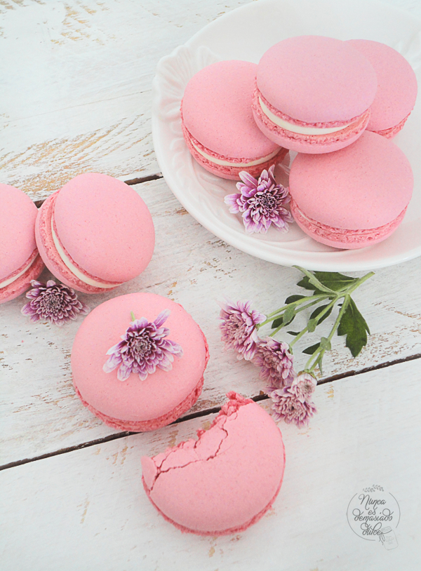 Macarons de Fresa — Nunca es demasiado dulce