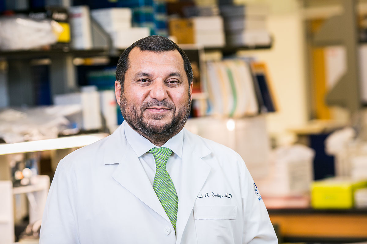 Wheelchair Kamikaze: Tisch Center MS Stem Cell Study: Interview with Dr ...