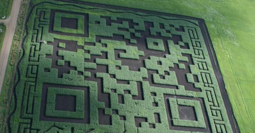 90 Miles From Tyranny Worlds Largest Qr Code