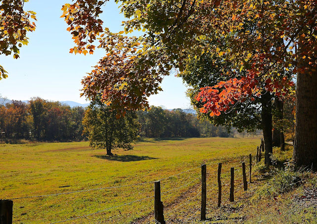 Sweet Southern Days: Parson Branch Road In The Great Smoky Mountains ...