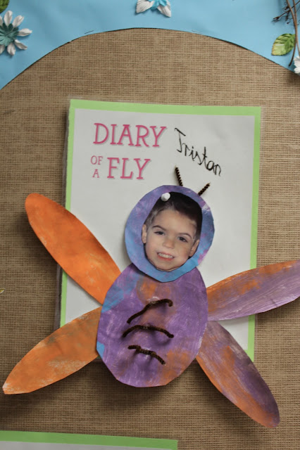 Teach Them To Fly: Diary of a Fly