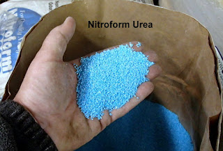 Xtremehorticulture of the Desert: Lawns Don't Need Expensive Fertilizers