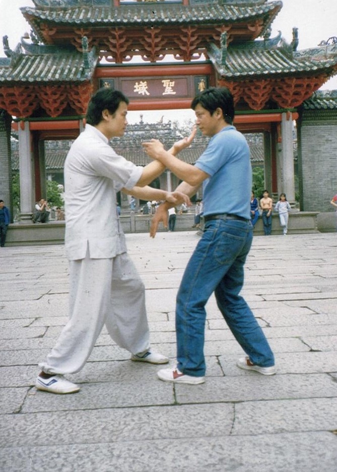 WING CHUN BRONX: APRENDER WING CHUNG POR LIBROS Y VIDEOS.