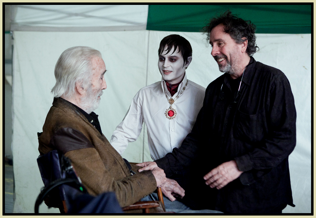 The Black Box Club: DARK SHADOWS BOOK: BEHIND THE SCENES WITH TIM ...