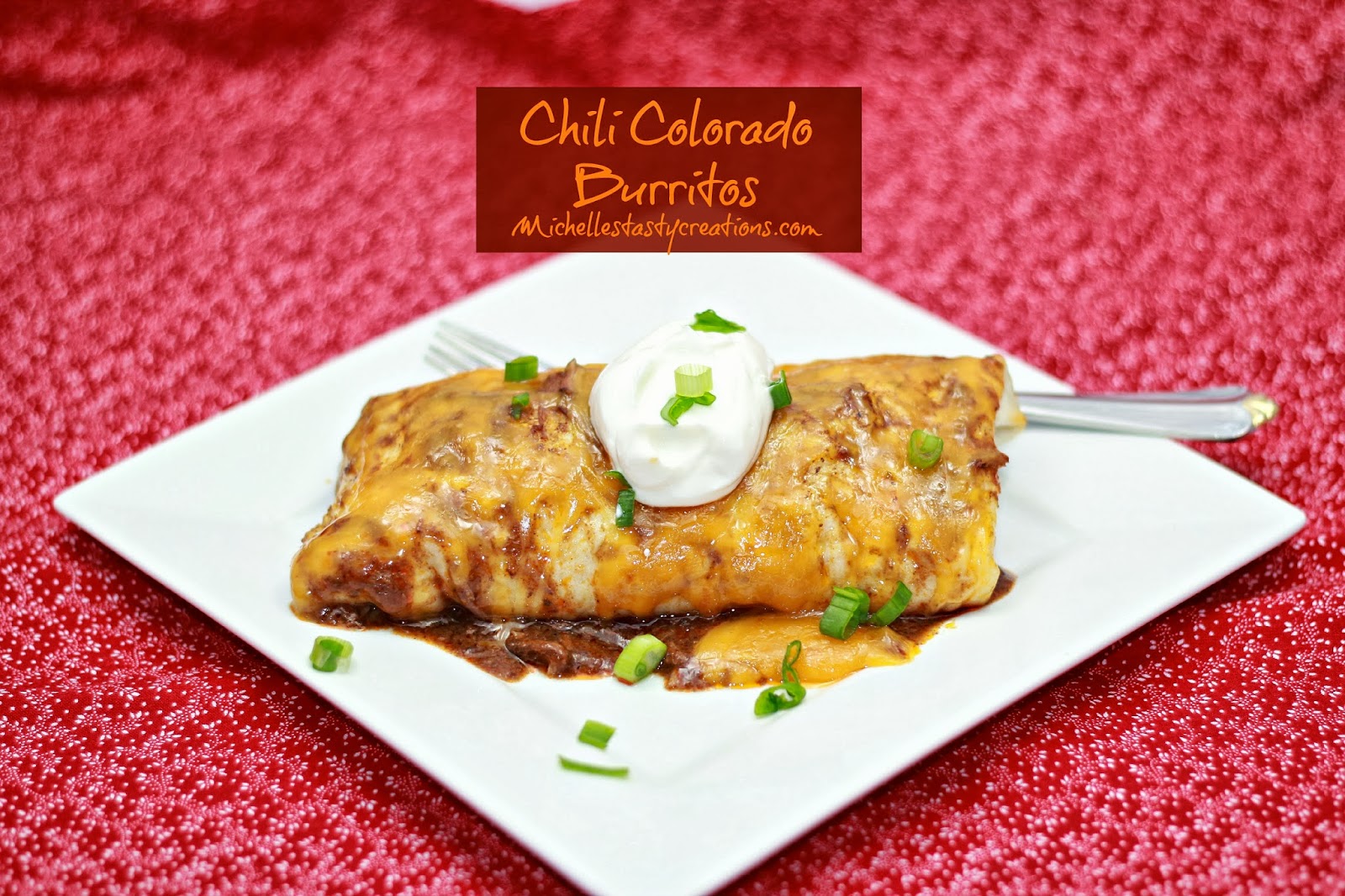 Michelle's Tasty Creations: Chili Colorado Burritos