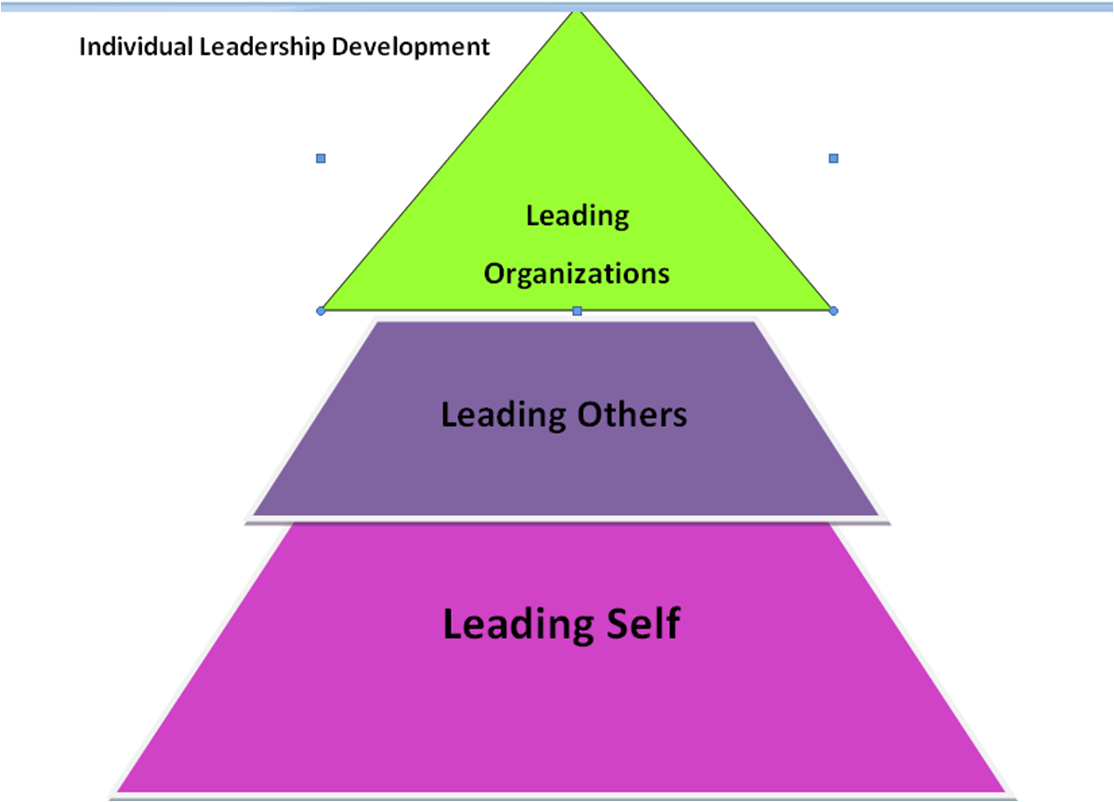 Individual & Executive Leadership Development Coaching