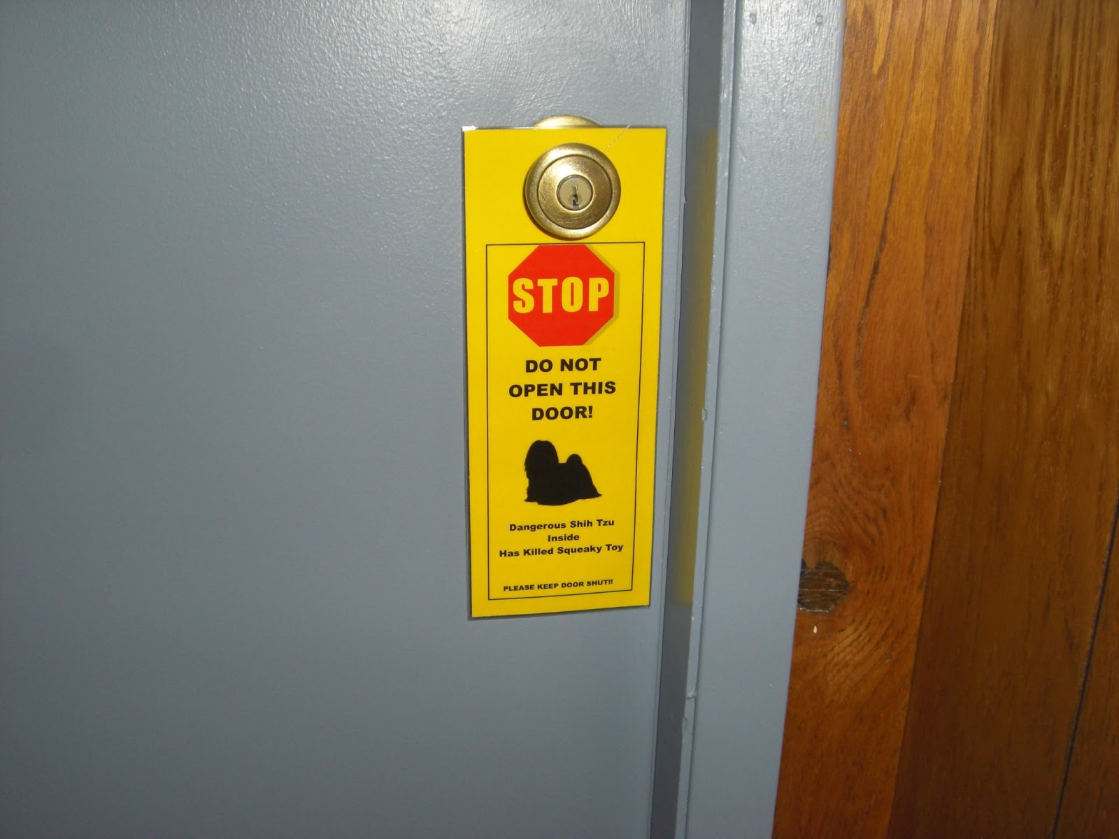 Busy, Busy Buttons: Warning Sign