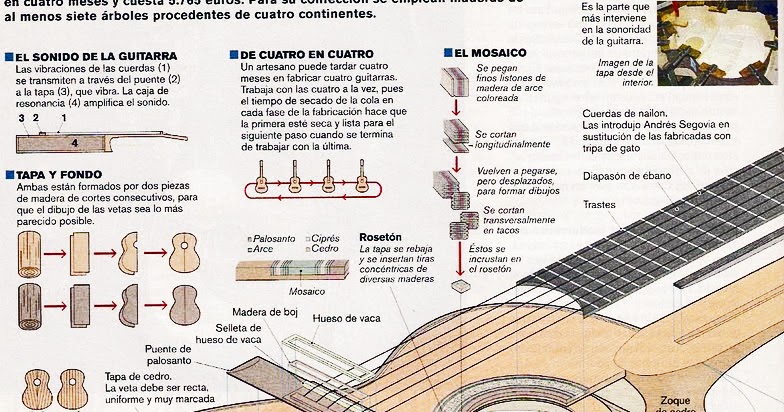 Cithara hispanica : Dimensiones y partes de la guitarra