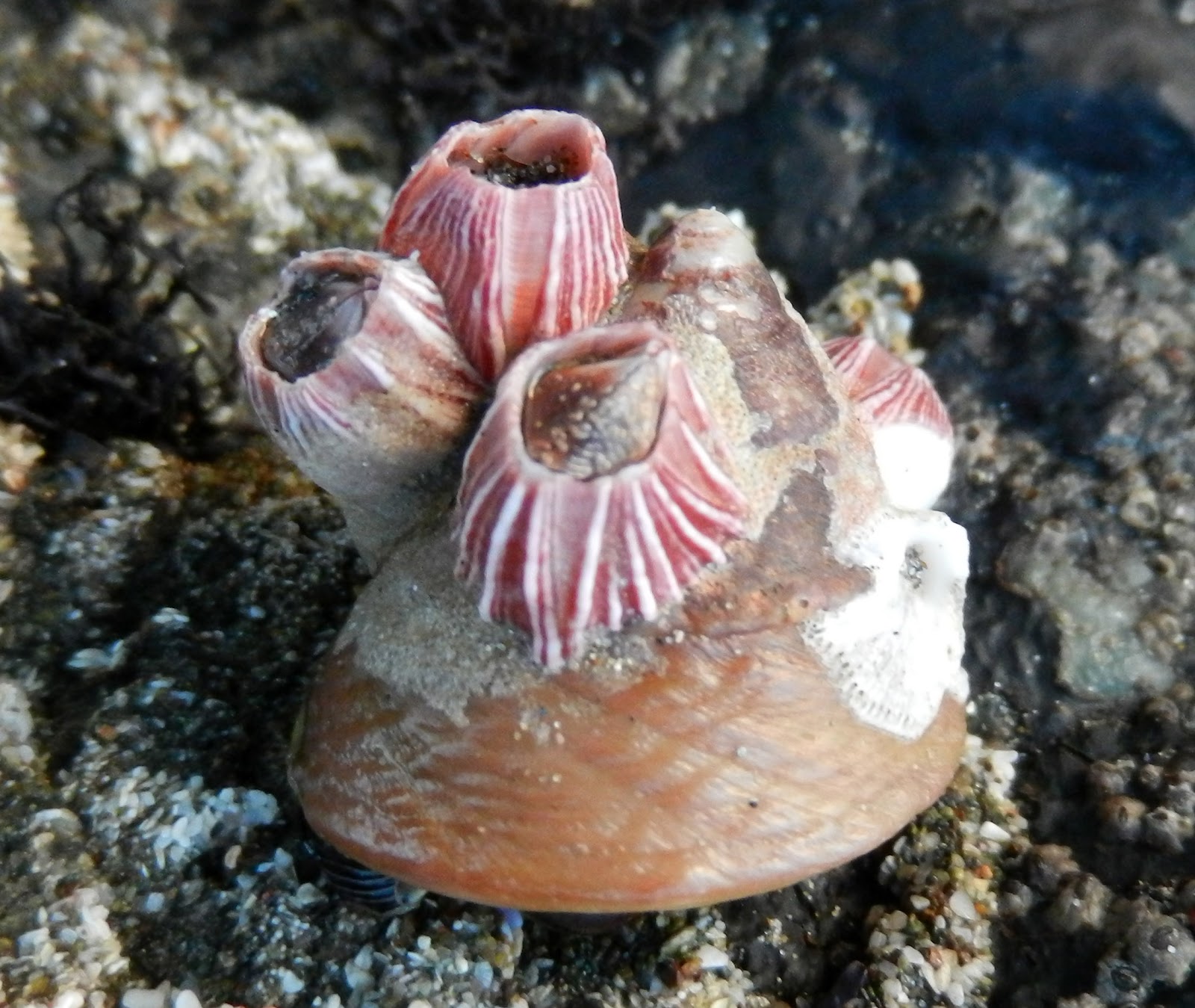 Squirrel's View: January 2013