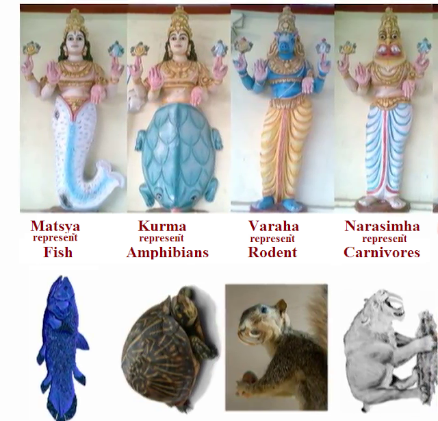 A blog about India & its people: The Significance of Dasavataras?