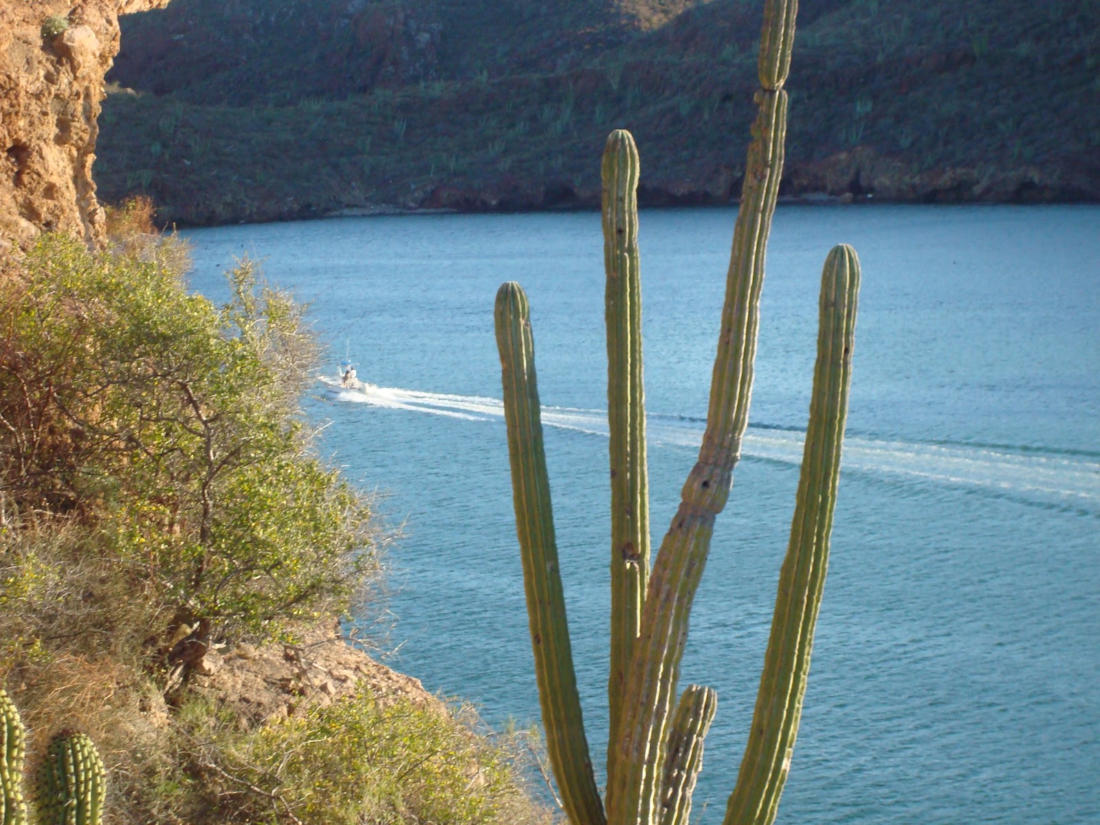 sancarlosfortin: semana santa en san carlos nuevo guaymas en sonora mexico