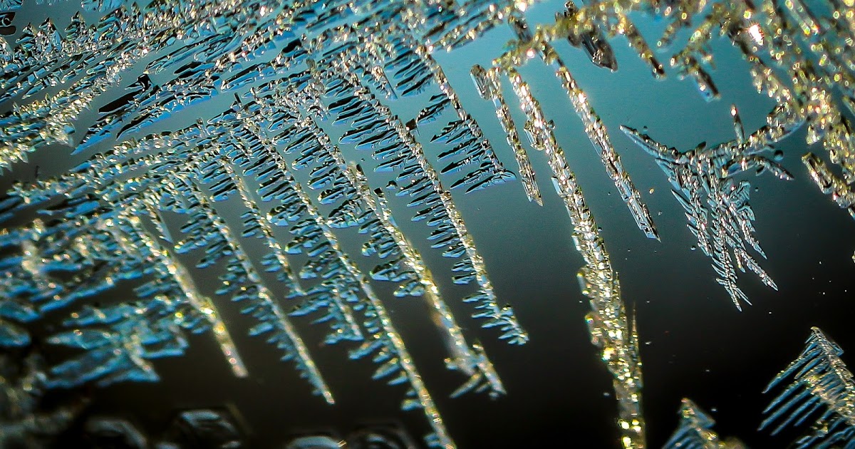 Kingfisher Imaging: Macro Ice Crystals on a Windshield
