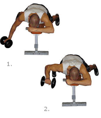 Step Exercises and Fitness: Arm Exercises : step 4 : Dumbbell Pronation