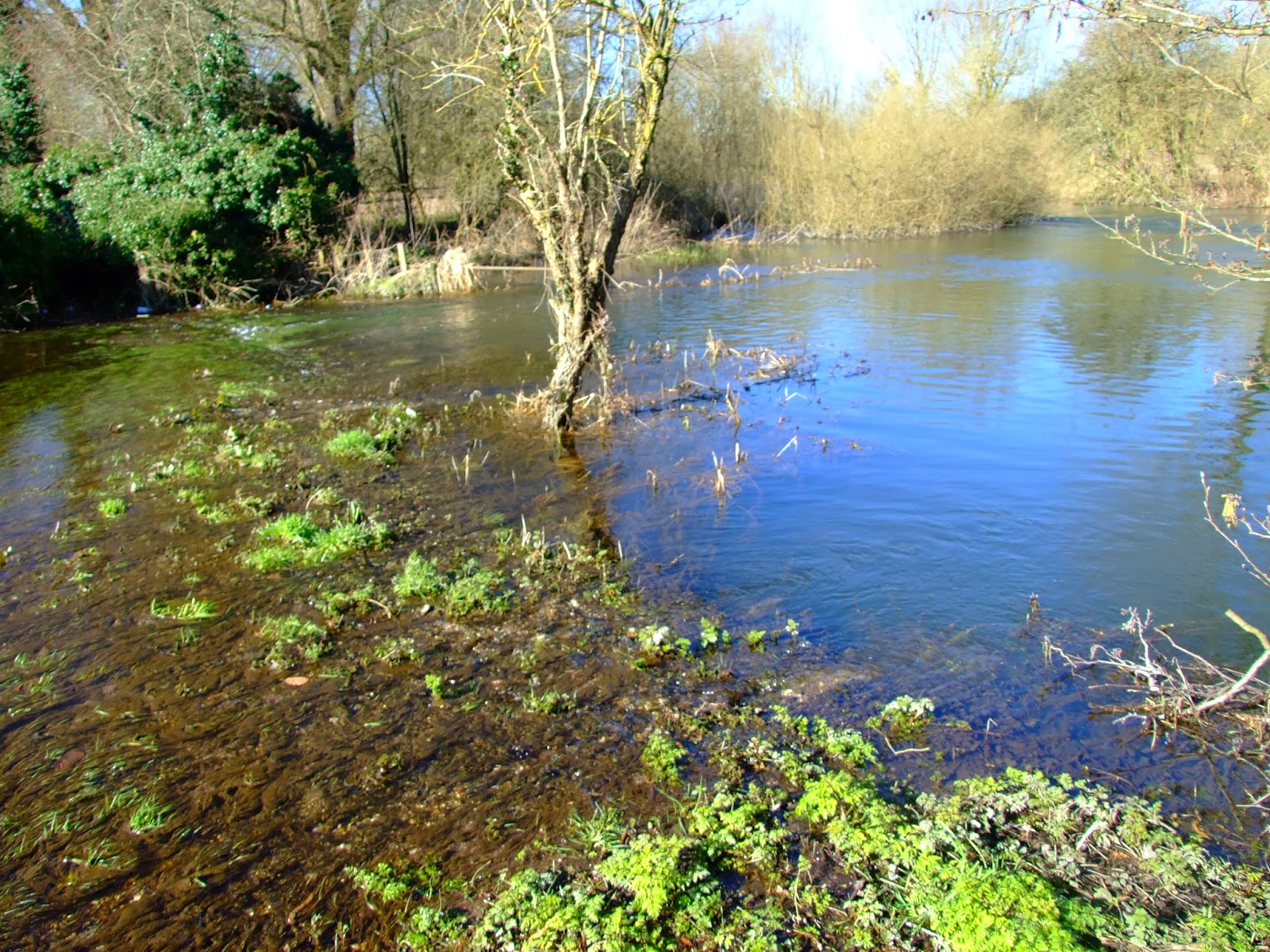 Canoeing and Kayaking on The River Kennet