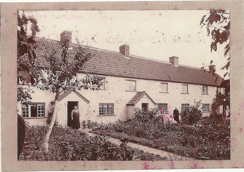 Hookins Links: The Hookins Home in Pawlett