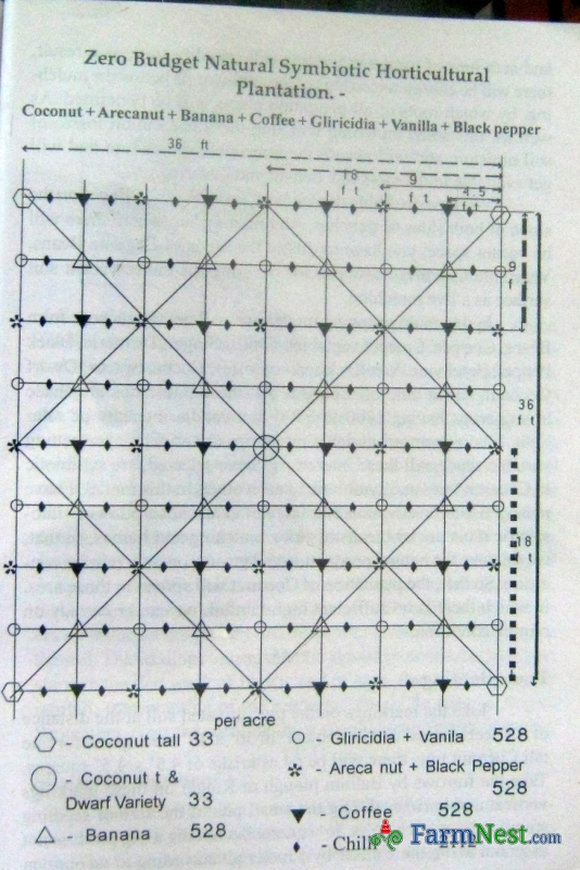 subash palekar five layer model | ABCD farming