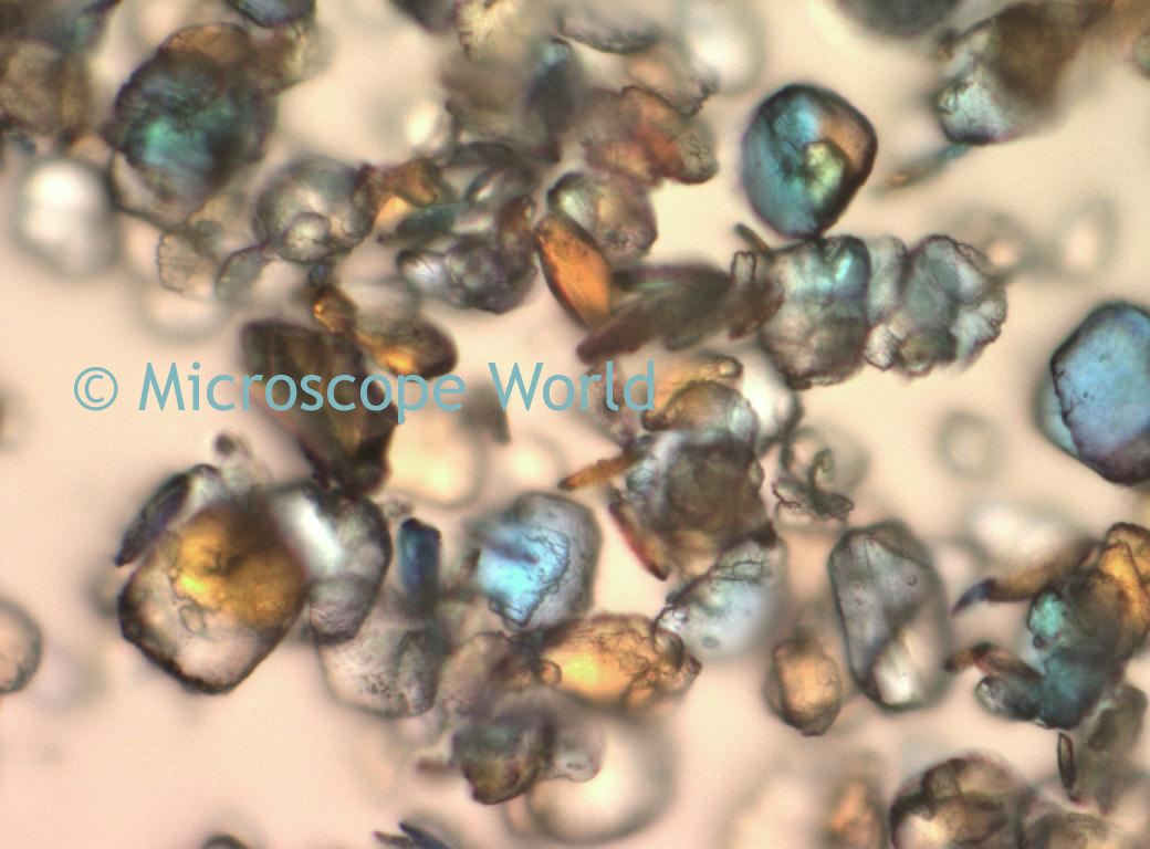 Microscope World Blog: Gypsum under Polarizing Microscope
