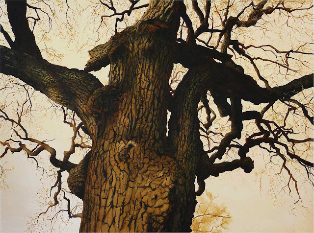 Sean Hargreaves Designs: OLD TREE AND FIELD OIL PAINTINGS