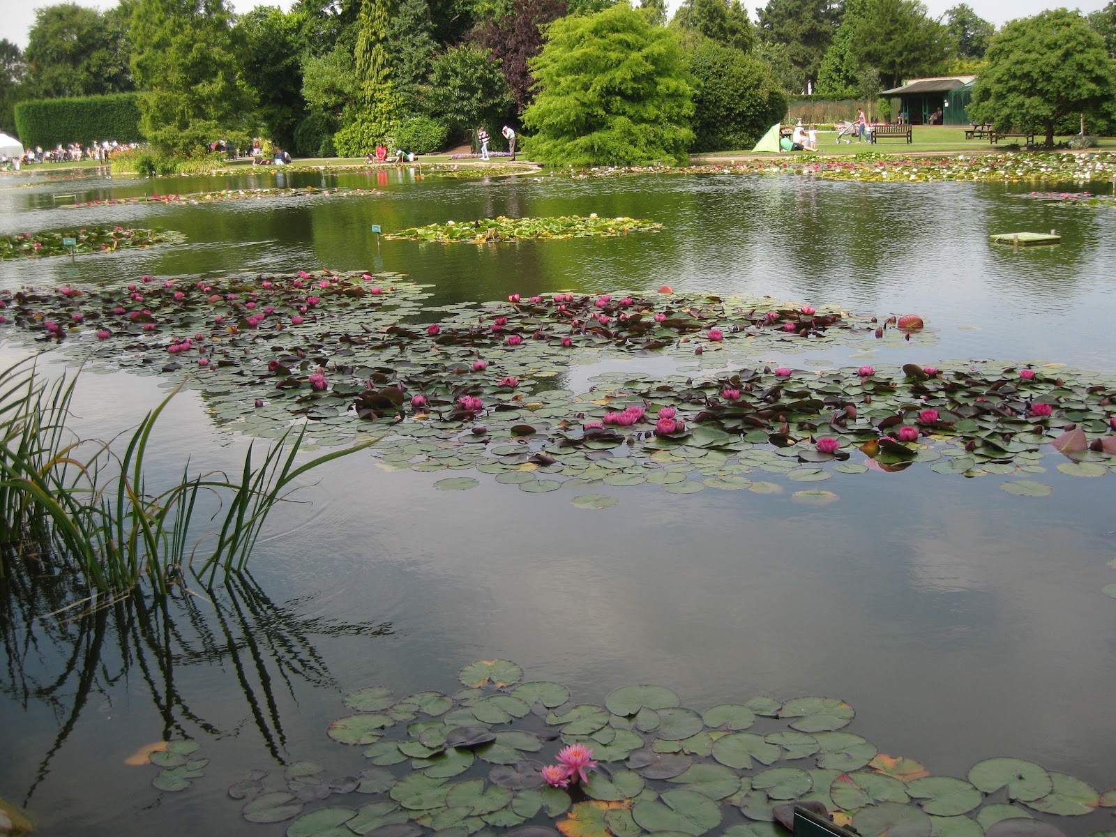 Needlecraft Corner: Allerthorpe Lakeland Park