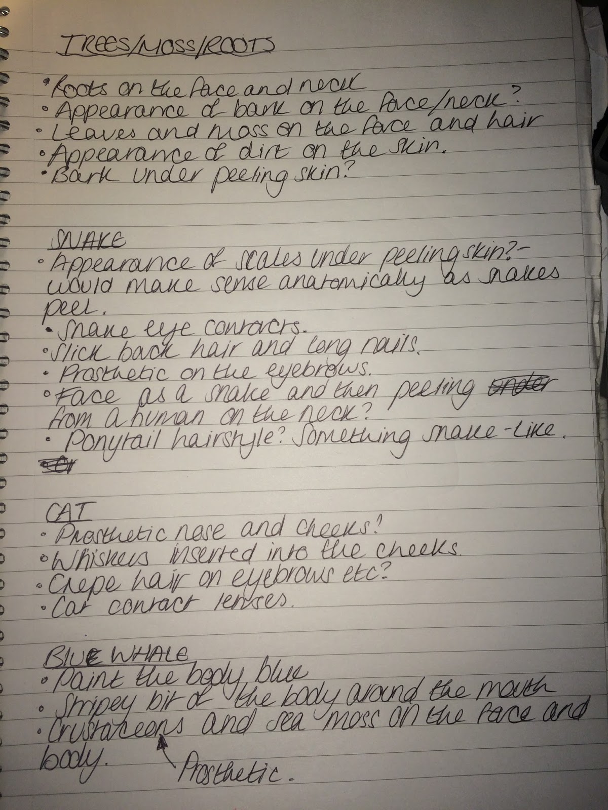 Special Effects Makeup: Finalising My Ideas