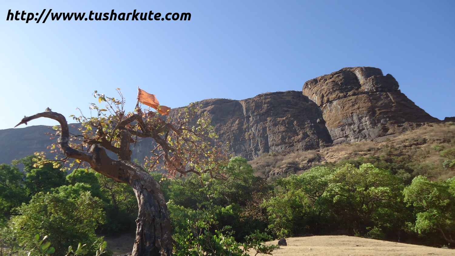 Harihar - JungleKey.in Image