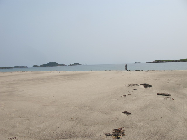 SusanFlanaganwrites.blogspot.com: Newfoundland's South Coast Adventure ...