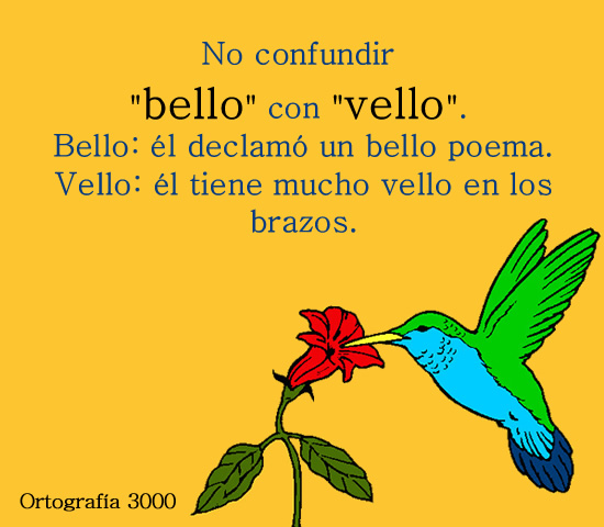 Diferencias entre las palabras bello y vello - Ortografía 3000
