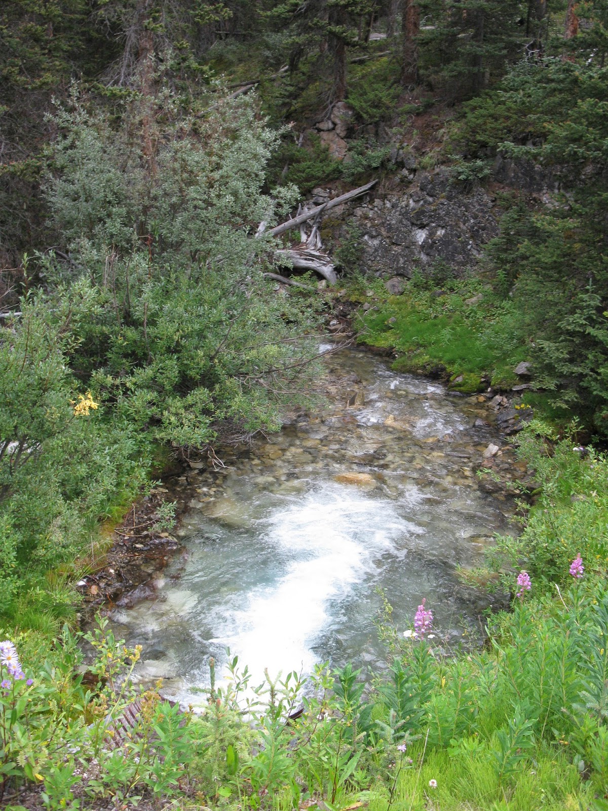 Fat and Scant of Breath: My hiking adventures in the Canadian Rockies