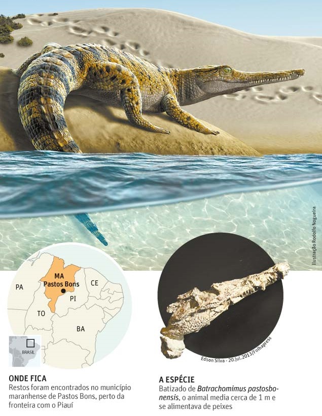 Species New to Science: [Paleontology • 2013] Batrachomimus ...