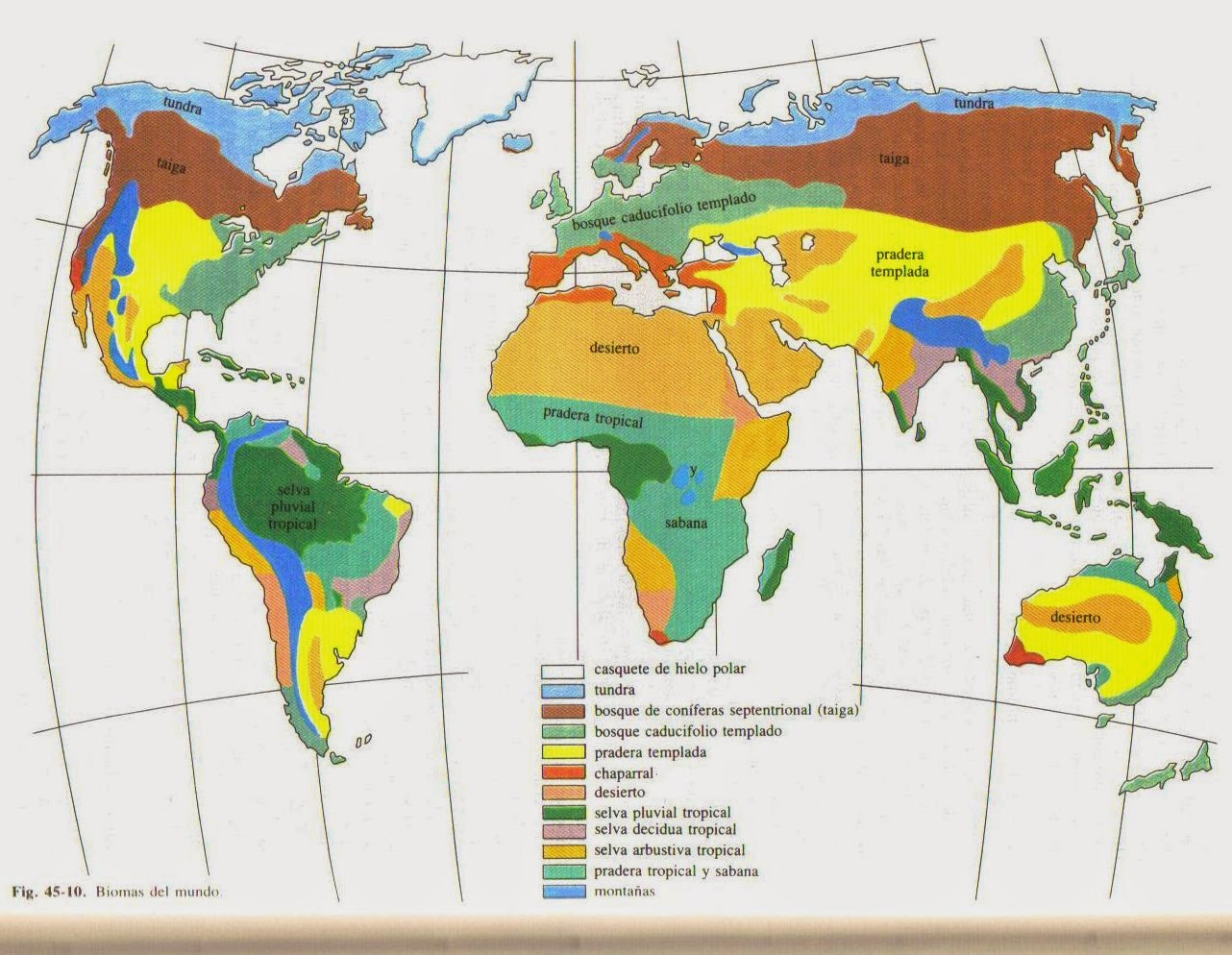 Biomas del Mundo: Sabana tropical