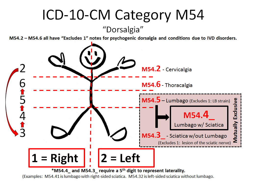  Mid Back Pain Icd 10 99 DEGREE