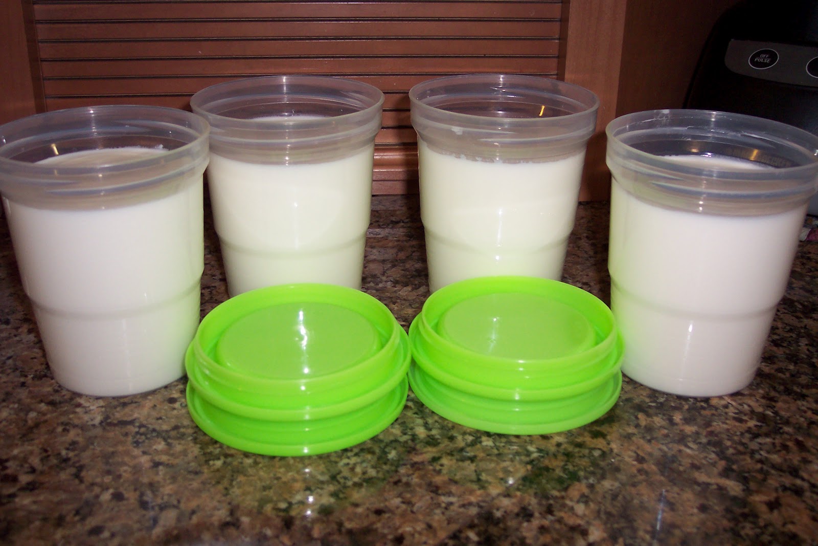 My Special Homestead - Getting Back to Basics: Crockpot Yogurt