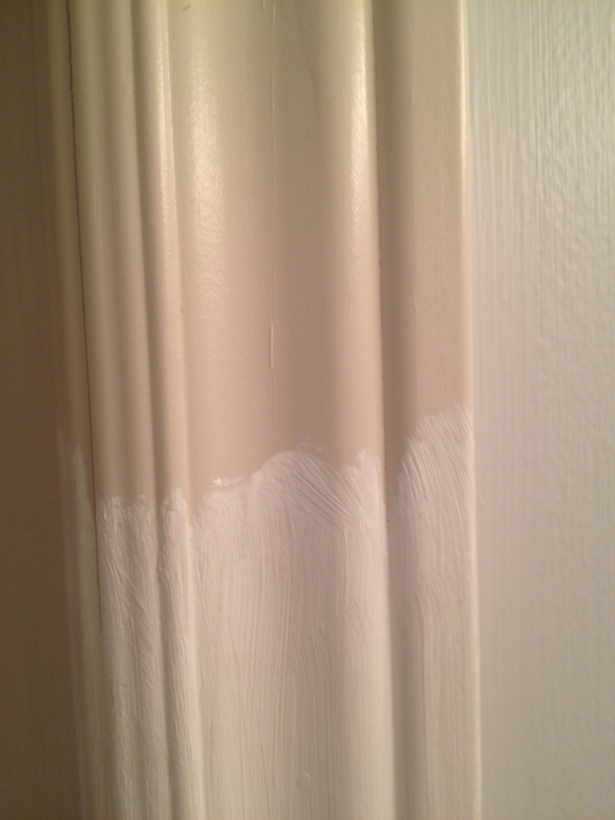 These Peach Roses: Love Your Baseboards!