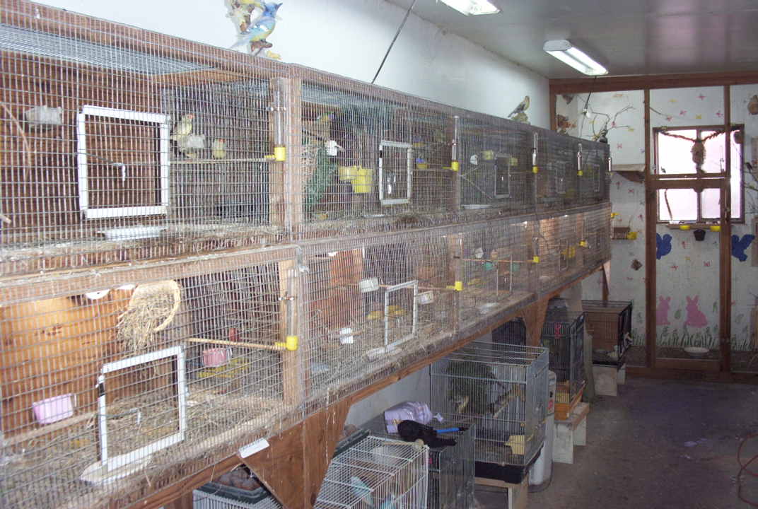 The Splendid Bourke Bird Blog: Bird Aviaries, Outdoor and Indoor