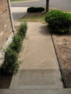 Green House, Good Life: Landscape Design Before and After