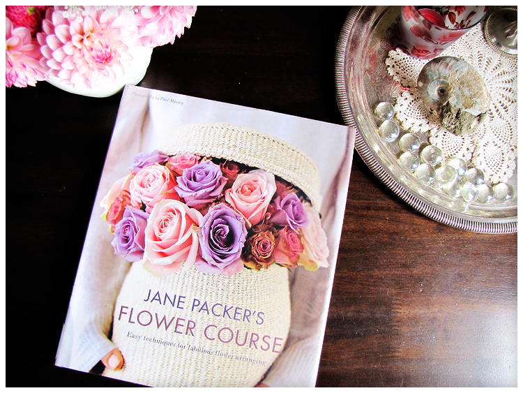 Camellia Rose: March 2012