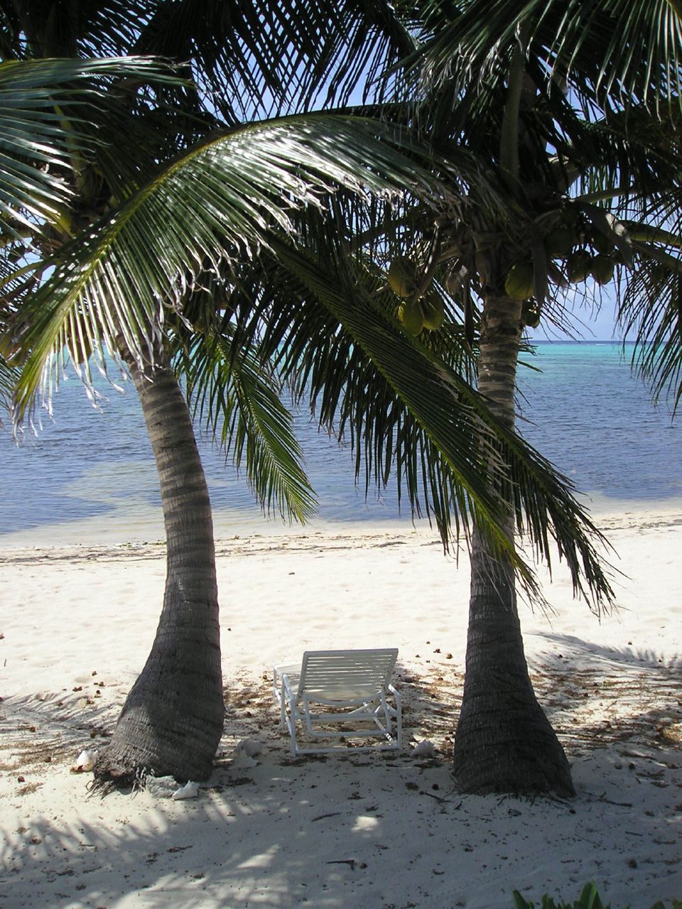Most Beautiful Islands: Cayman Islands Caribbean-Little Cayman