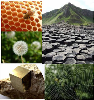 ARTES PLASTICAS: Formas naturales, artificiales e imaginarias