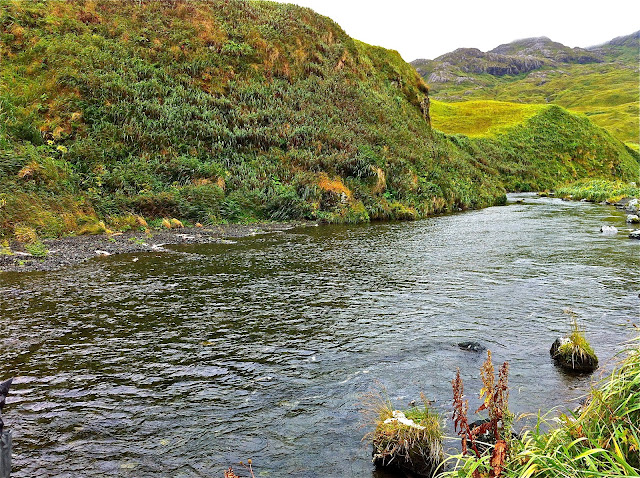 We Can See Russia - Notes from a Small Island: Stream to Table