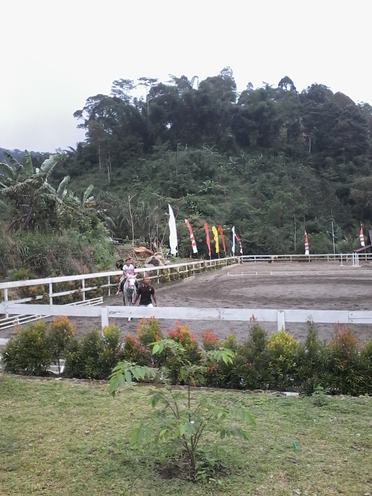 Wisata santosa stable - Warna warni hidup