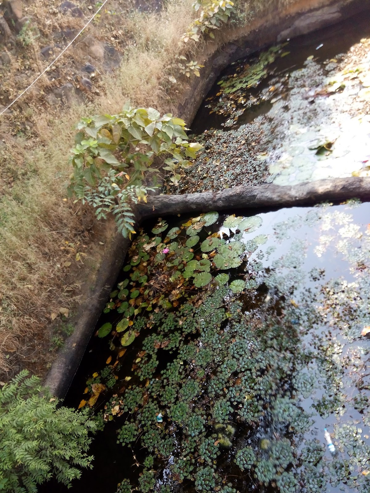 Parnera Fort atop Parnera Hill in Atul near Valsad in Gujarat (India ...